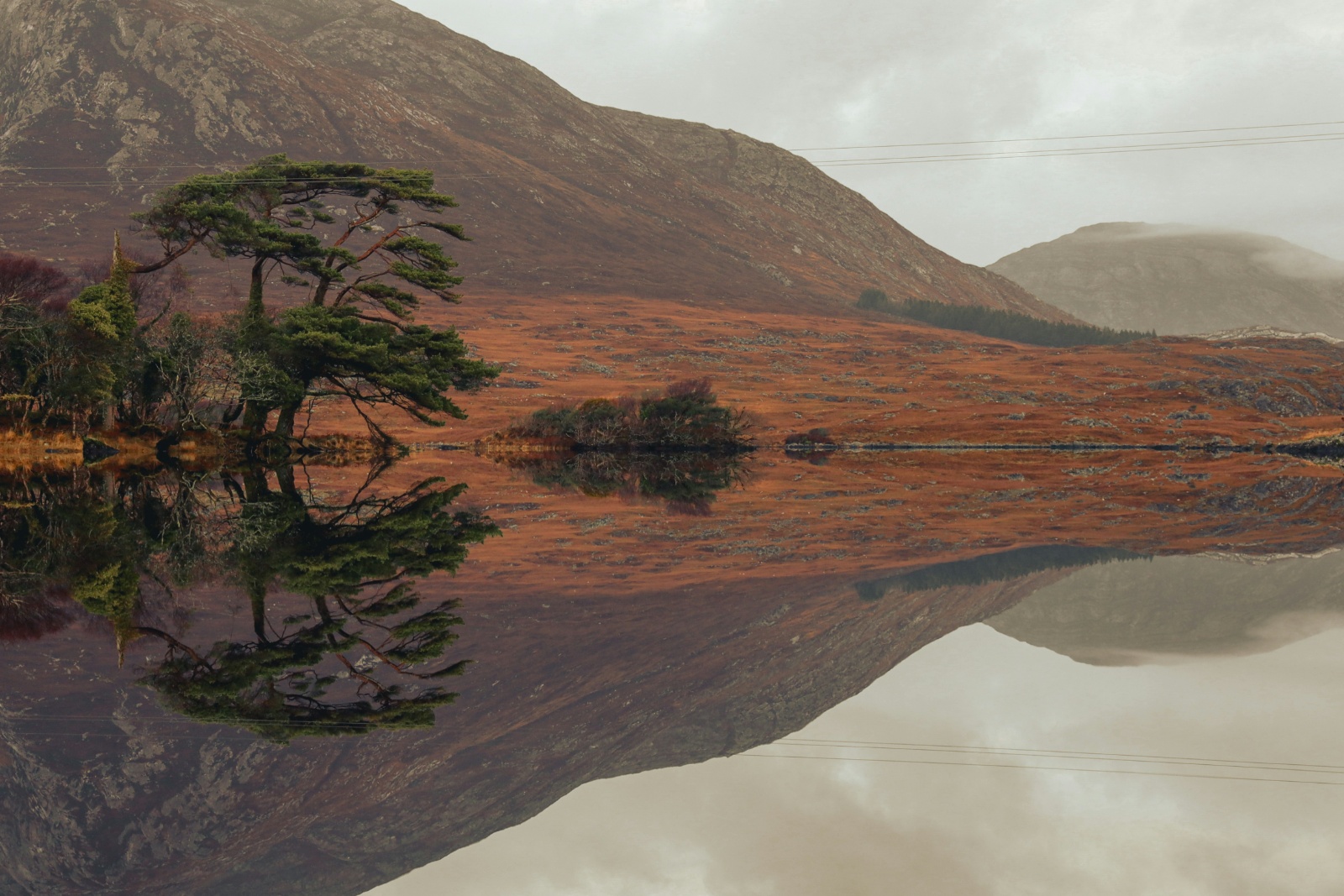 Free Image Mirror Online: Flip Photos Without Watermarks