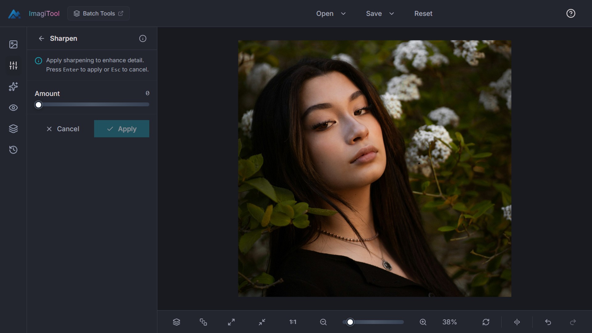 Image Sharpening Levels: Settings Guide for Every Photo